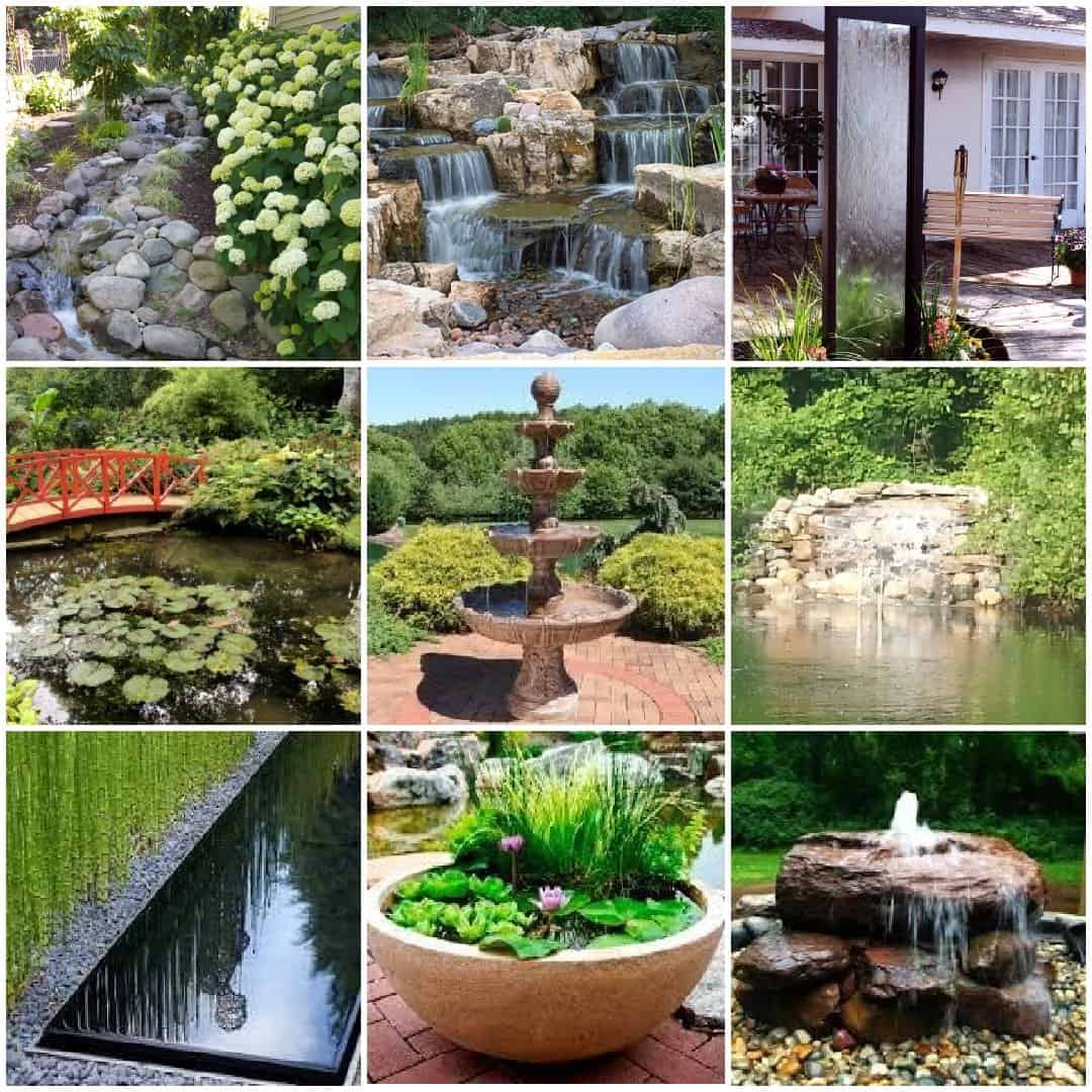 Water Features in the Landscape – The Plant Professionals